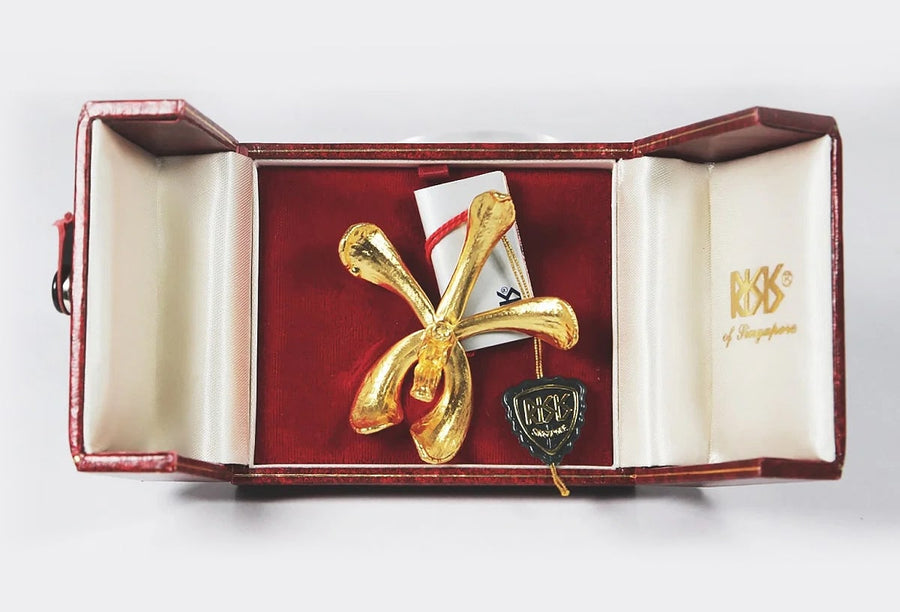 Our Heritage & Story | RISIS